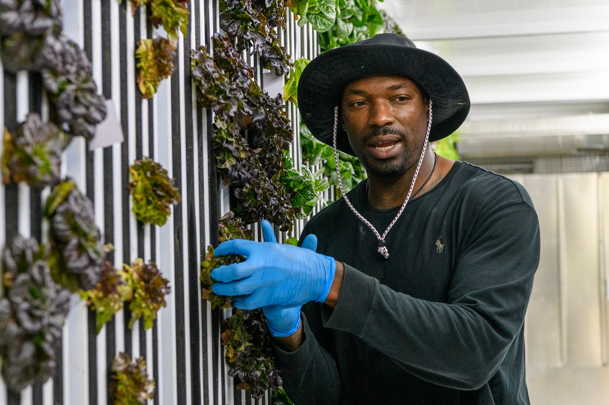 Local Commitment – Nurture Greens